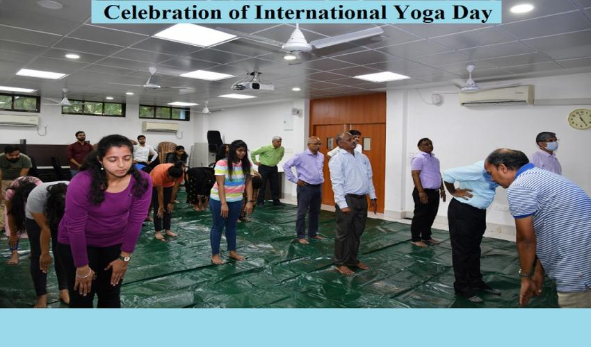 International Institute for Population Sciences (IIPS)